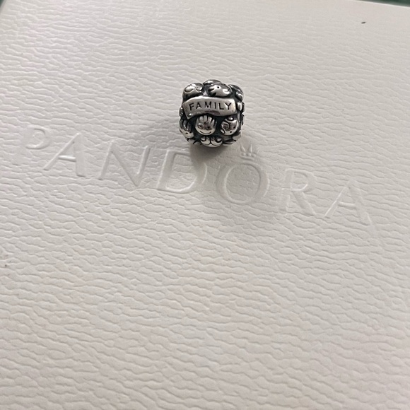 Pandora | Jewelry | Pandora Retired Love Family Charm | Poshmark